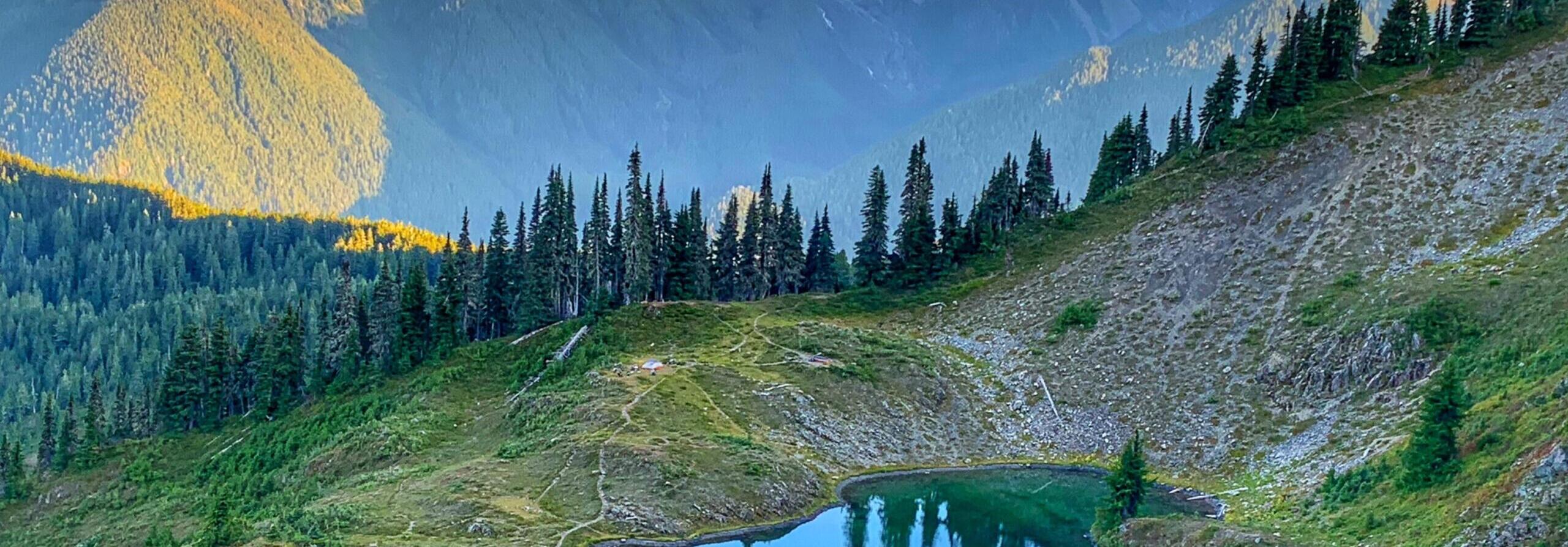 Services – Dr. Melanie English